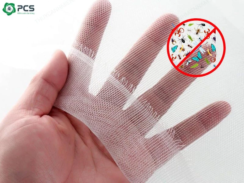50+ Cách diệt côn trùng tại nhà an toàn, Cực kì hiệu quả