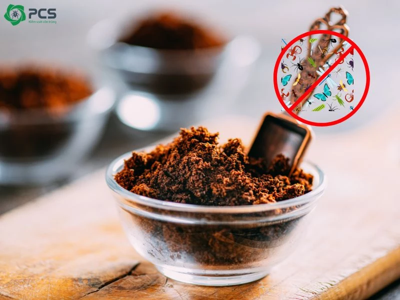 50+ Cách diệt côn trùng tại nhà an toàn, Cực kì hiệu quả