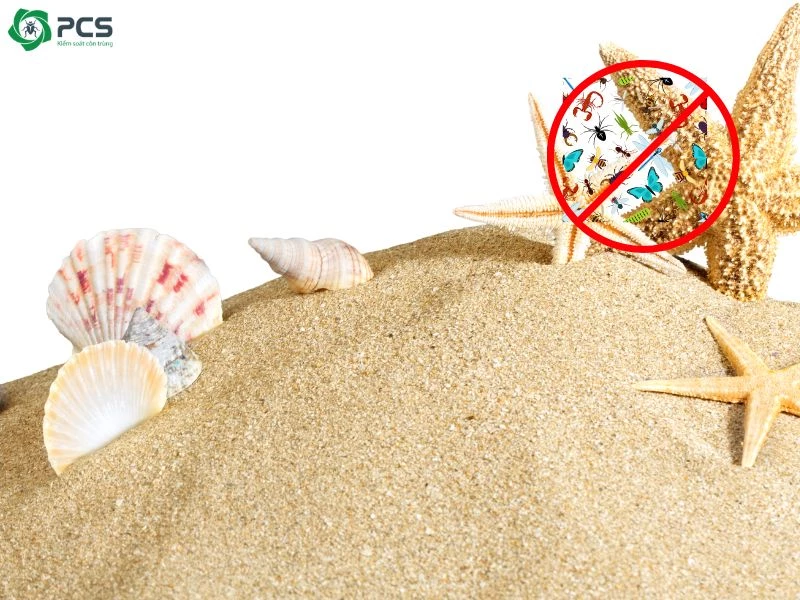 50+ Cách diệt côn trùng tại nhà an toàn, Cực kì hiệu quả