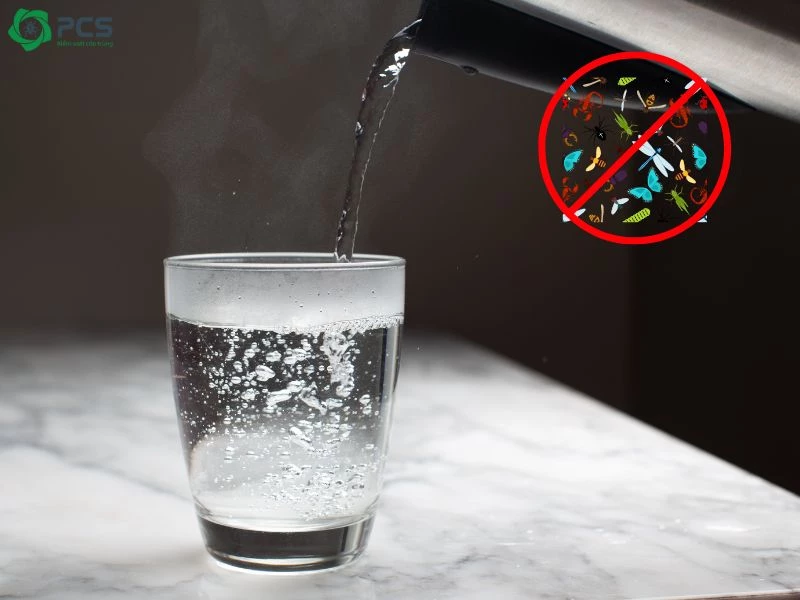 50+ Cách diệt côn trùng tại nhà an toàn, Cực kì hiệu quả