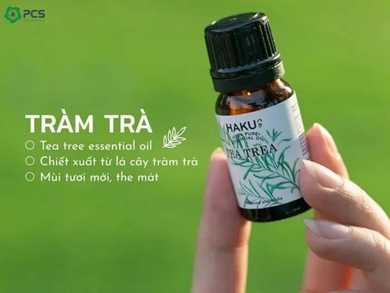 9 Cách trị rệp giường nhanh chóng bạn không nên bỏ qua