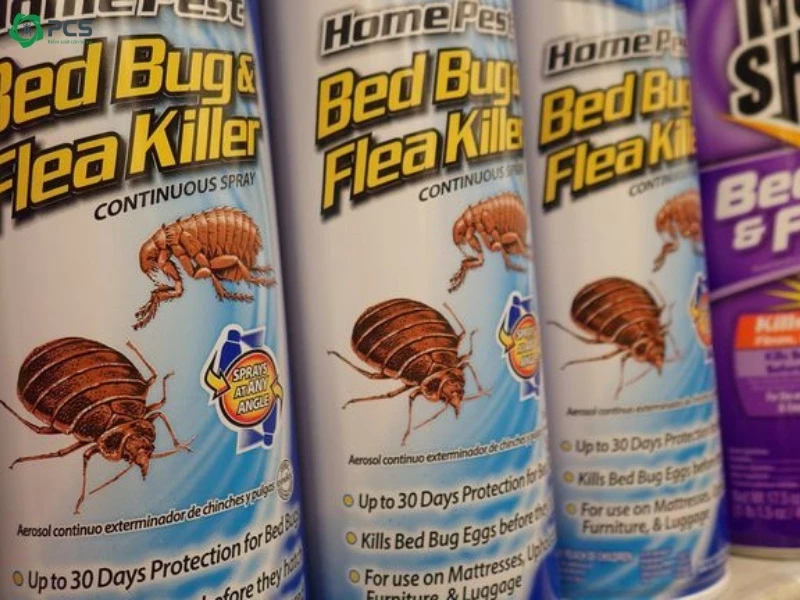 Cách diệt trứng rệp giường cực kỳ hiệu quả