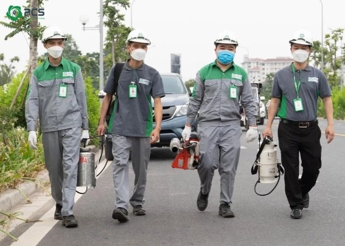 Con gián đất và những điều bạn cần biết